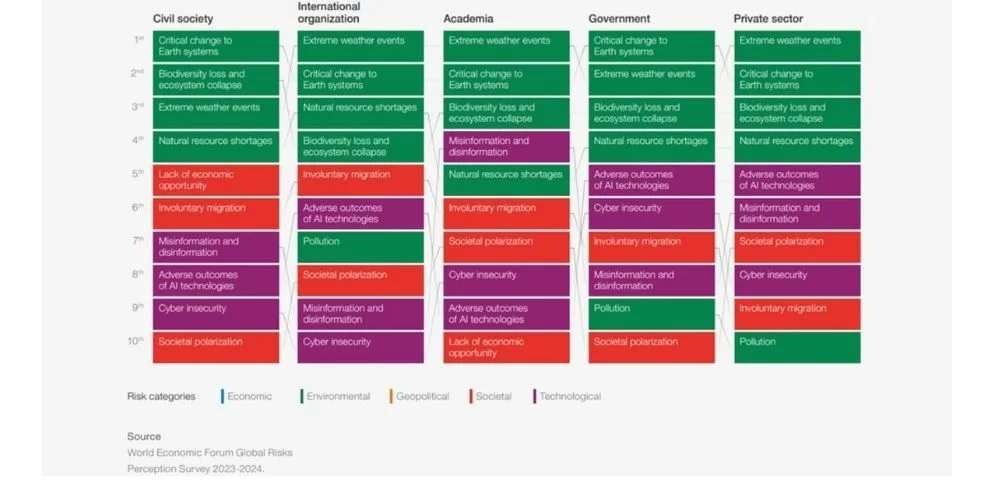 2024 Küresel Risk Raporu | Buluttan